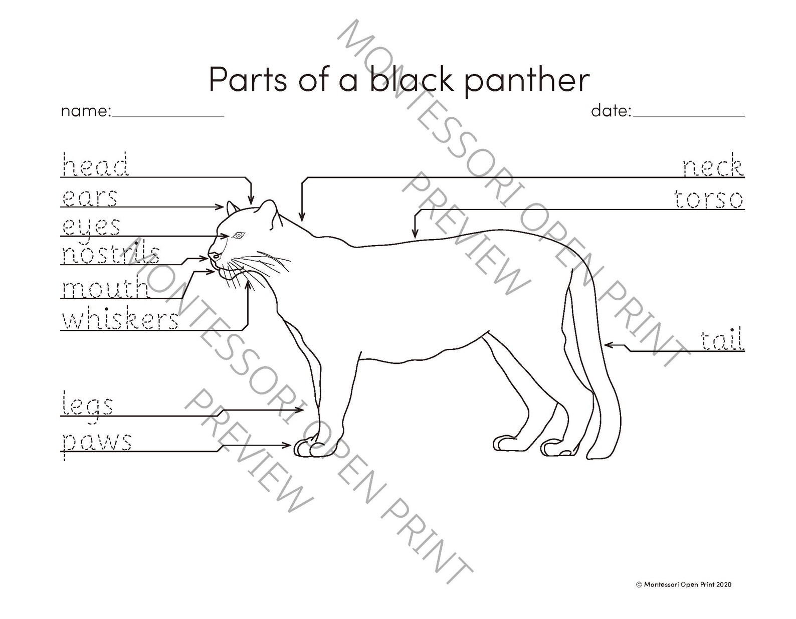Montessori 3 Part Cards Parts of a Black Panther - Etsy
