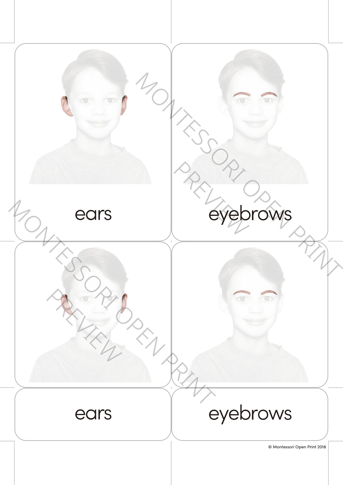 Montessori 3 Part Cards Parts of the Face - Etsy