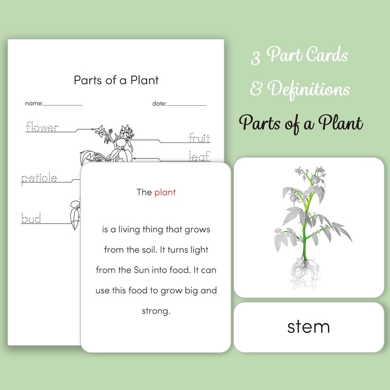 montessoriopenprint - Etsy