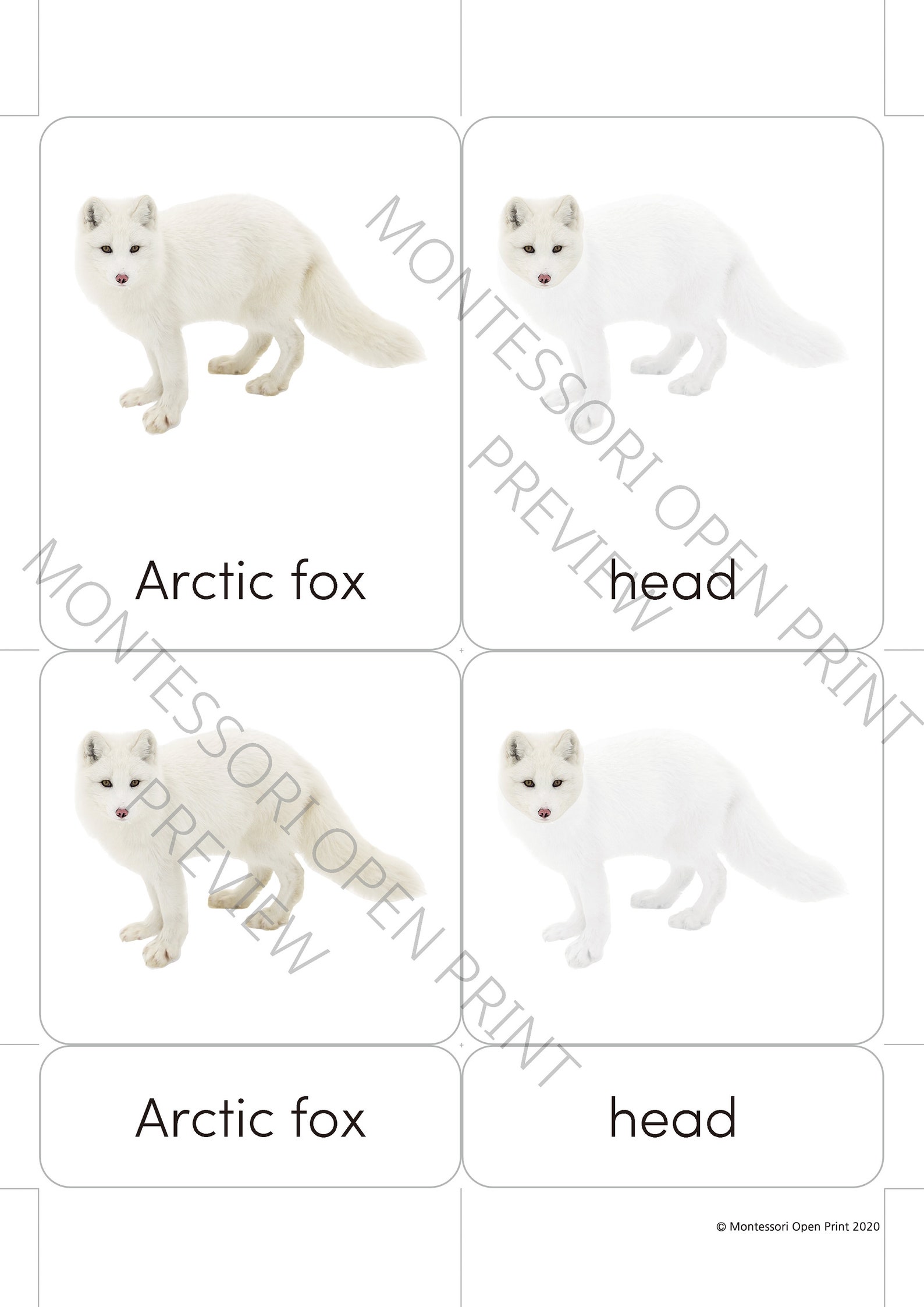Montessori 3 Part Cards Parts of the Arctic Fox - Etsy