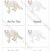 Montessori 3 Part Cards Parts of the Arctic Fox - Etsy