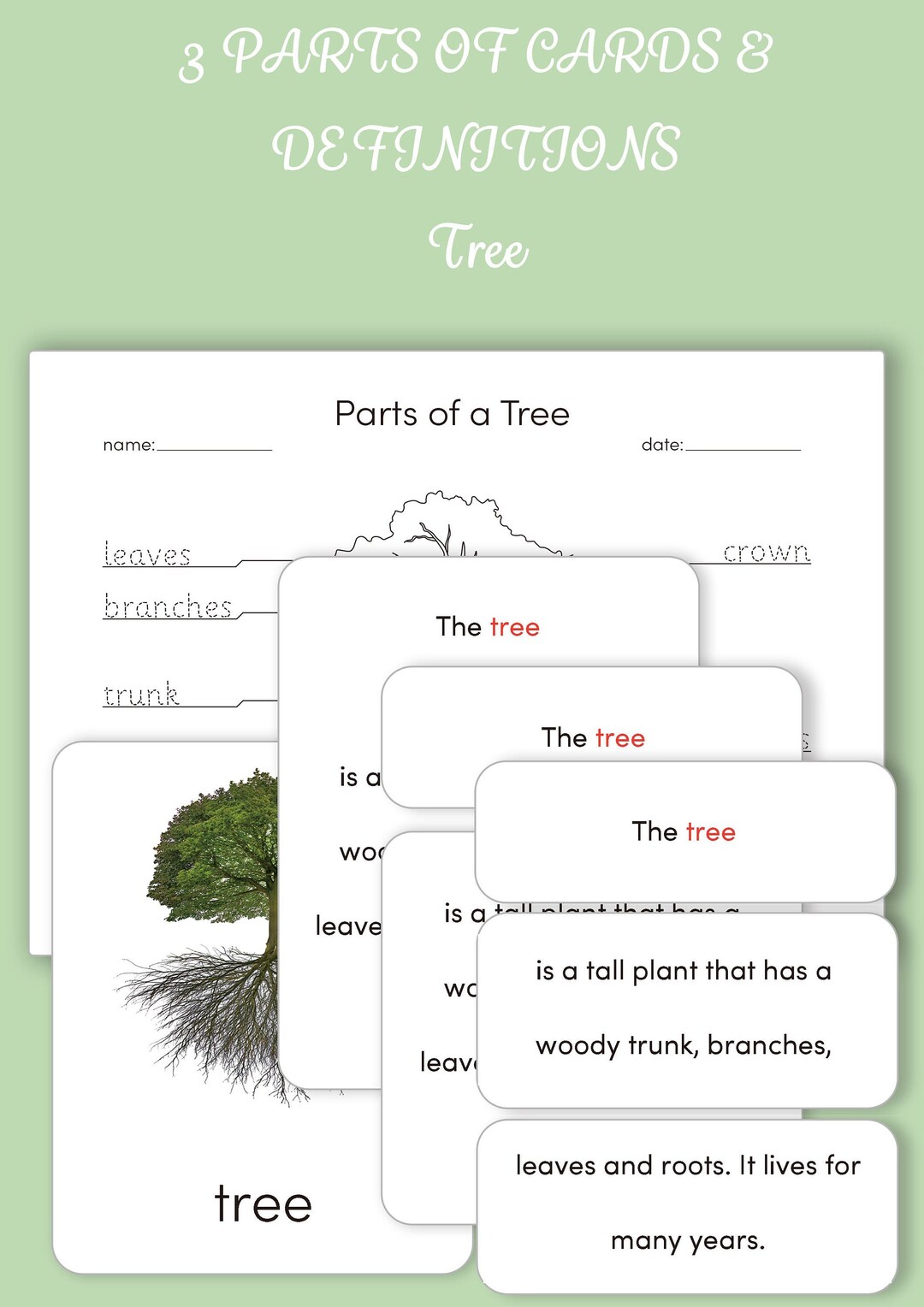 Montessori 3 Part Cards and Definition Cards Parts of the Tree - Etsy