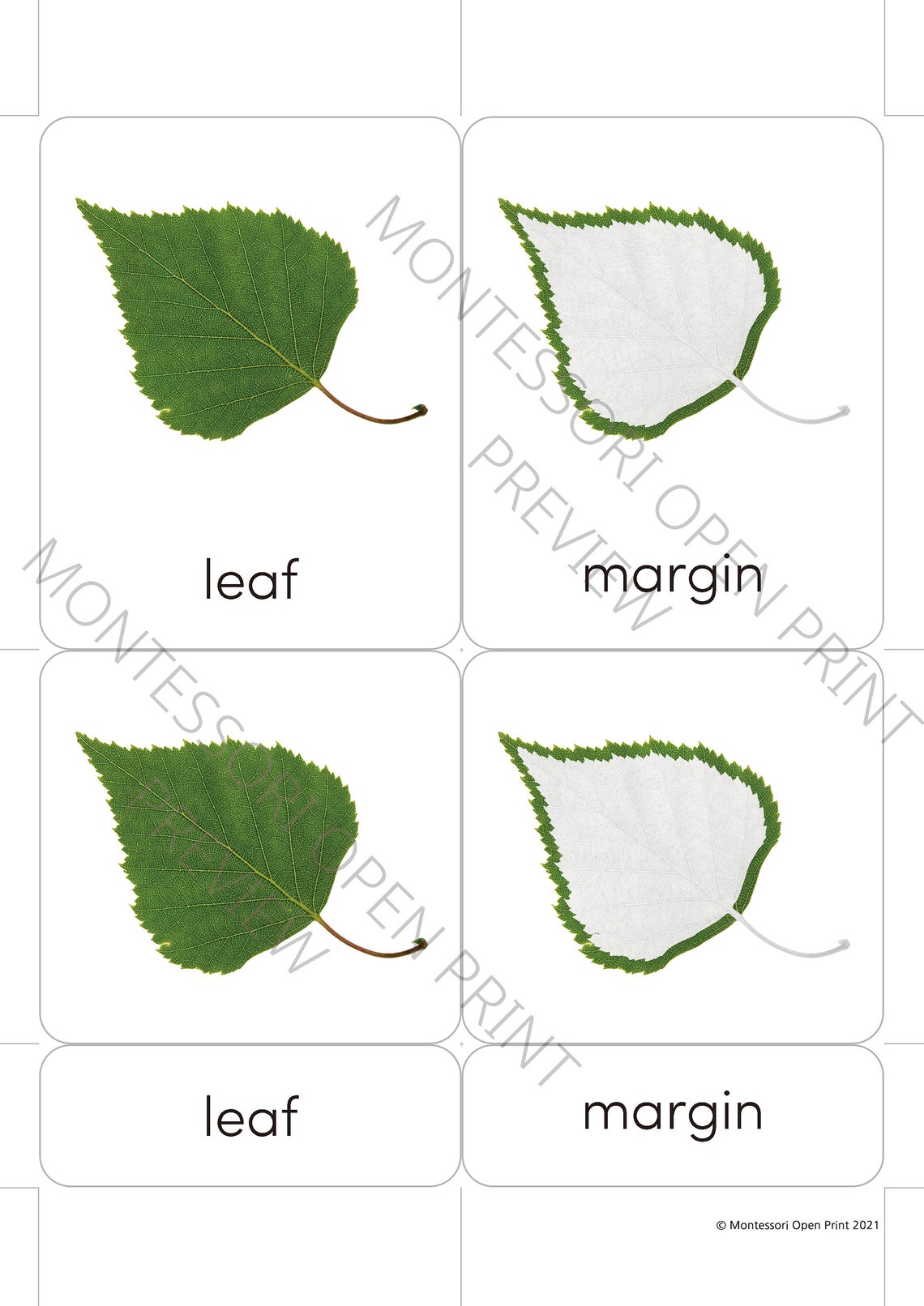 Montessori 3 Part Cards Parts of a Leaf - Etsy