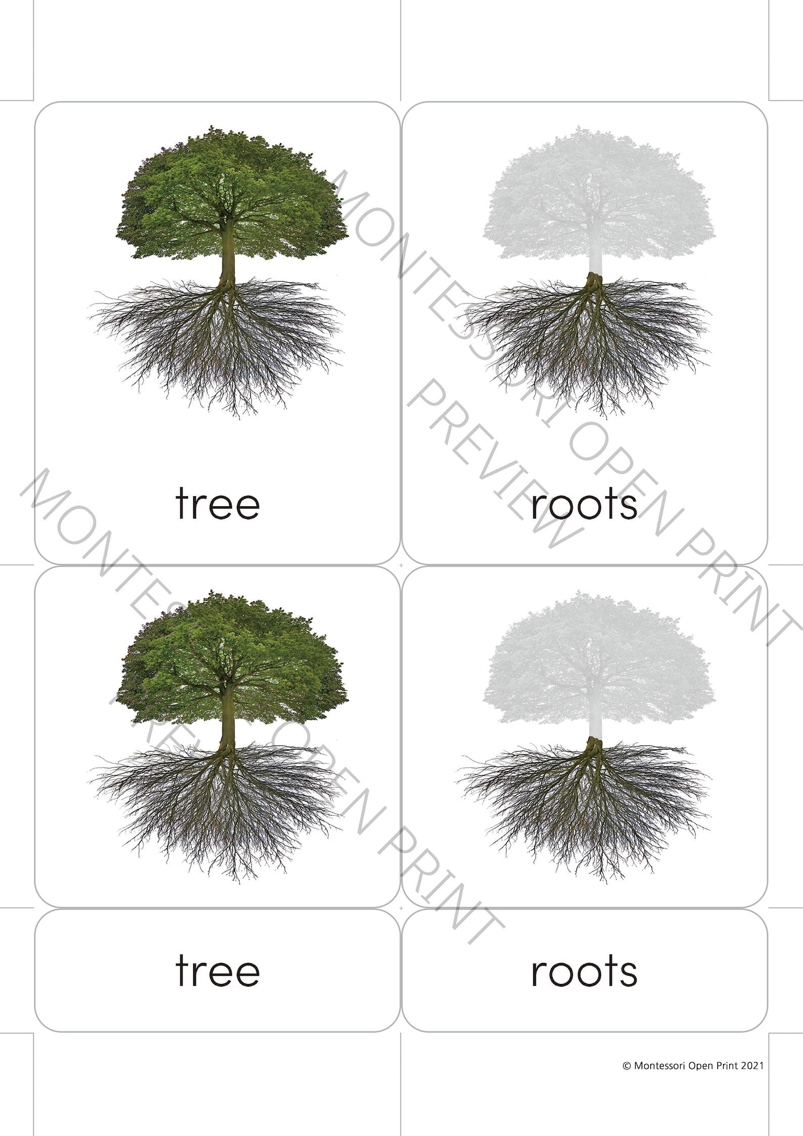 Montessori 3 Part Cards Parts of a Tree - Etsy