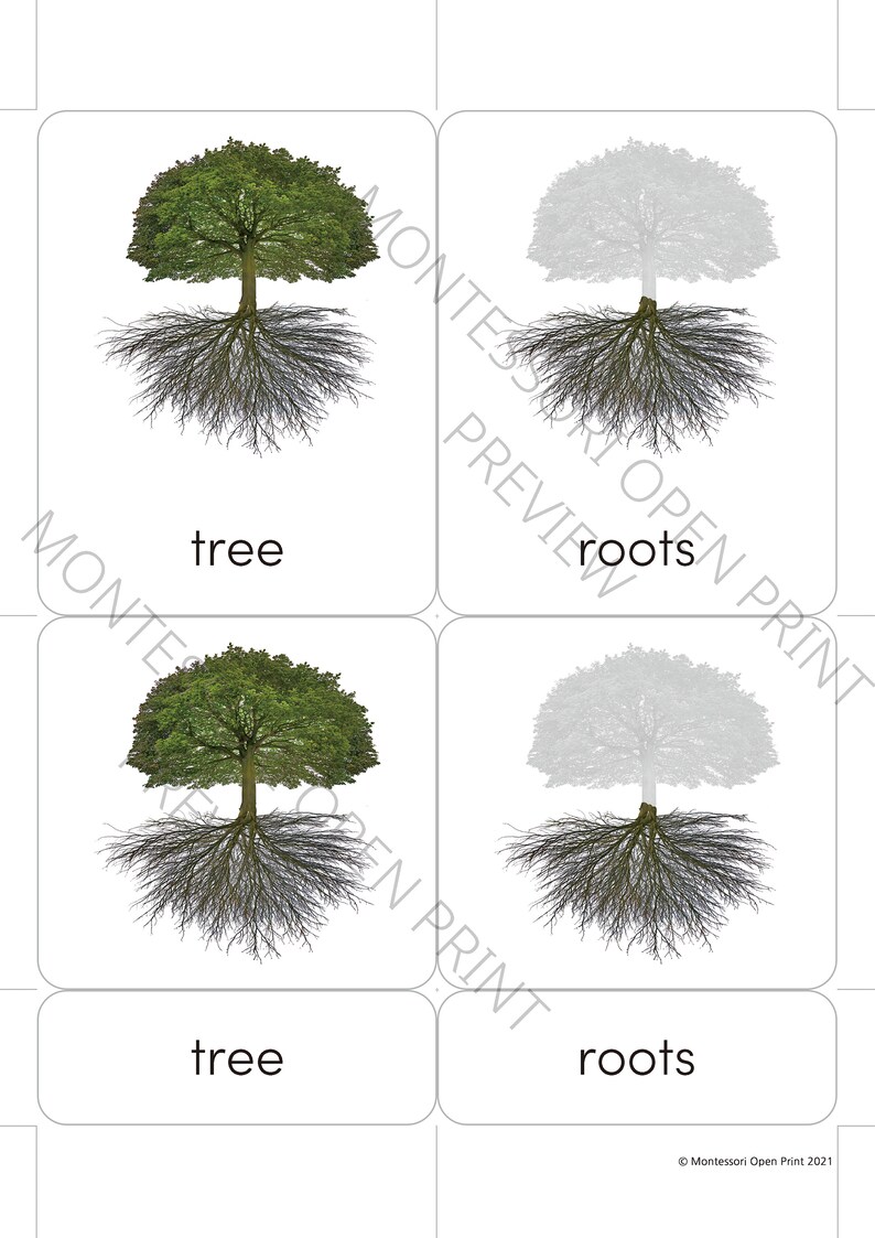 Montessori 3 Part Cards Parts of a Tree - Etsy