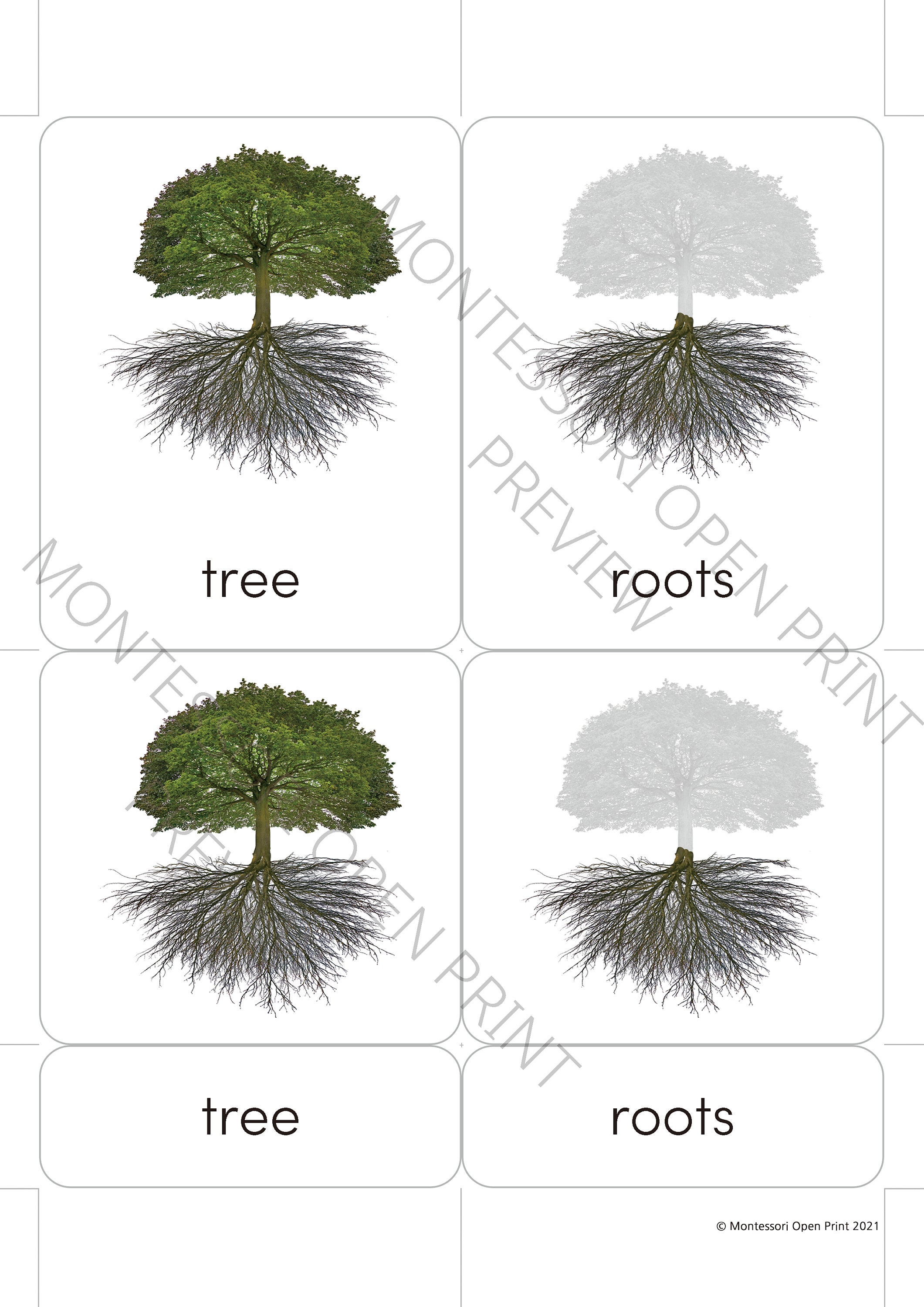 Montessori 3 Part Cards Parts of a Tree - Etsy
