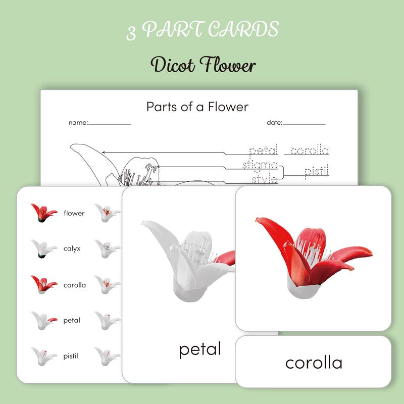 montessoriopenprint - Etsy