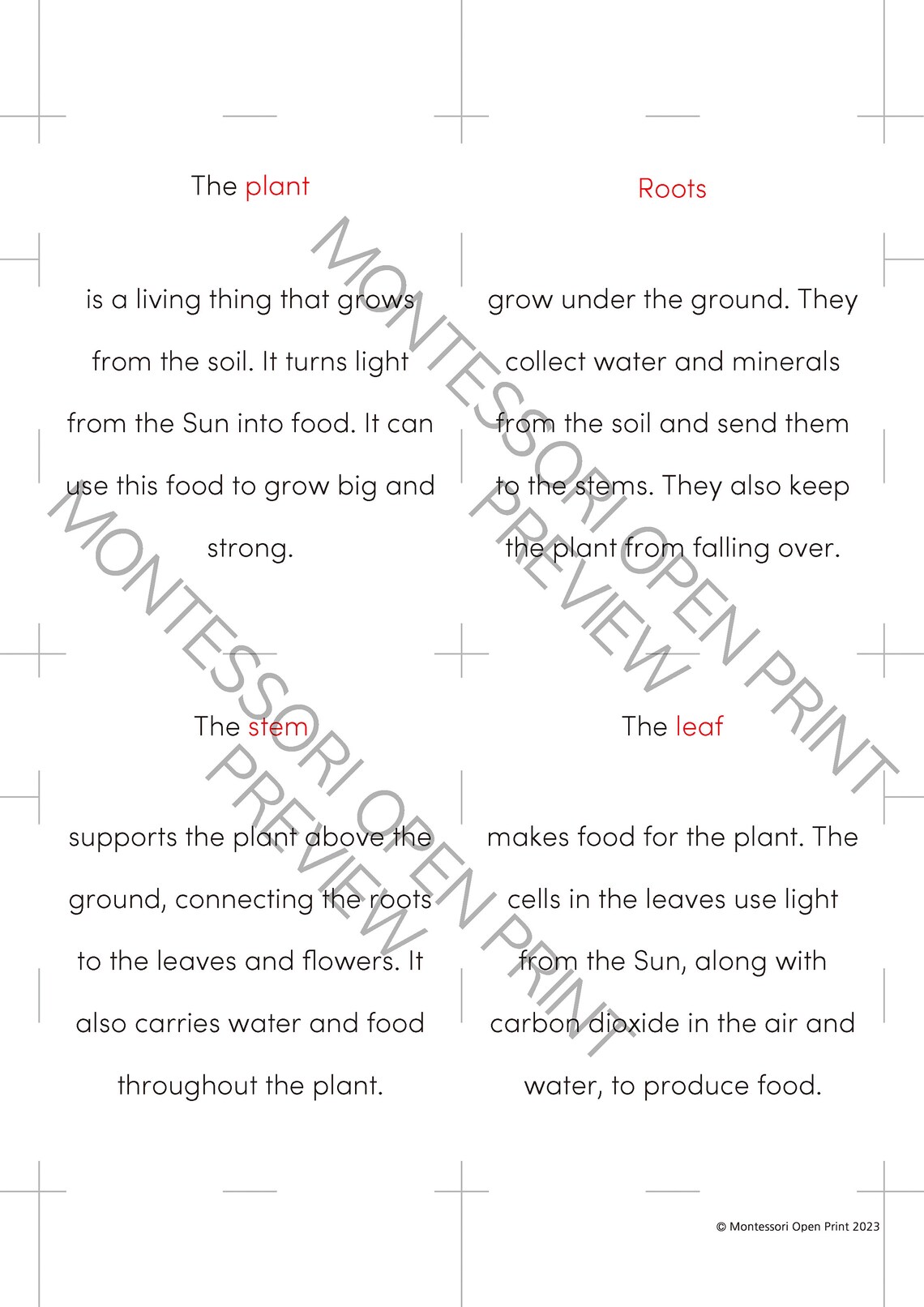 Montessori 3 Part Cards and Definitions Parts of a Plant - Etsy