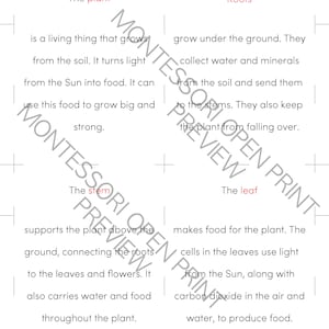Montessori 3 Part Cards and Definitions Parts of a Plant - Etsy