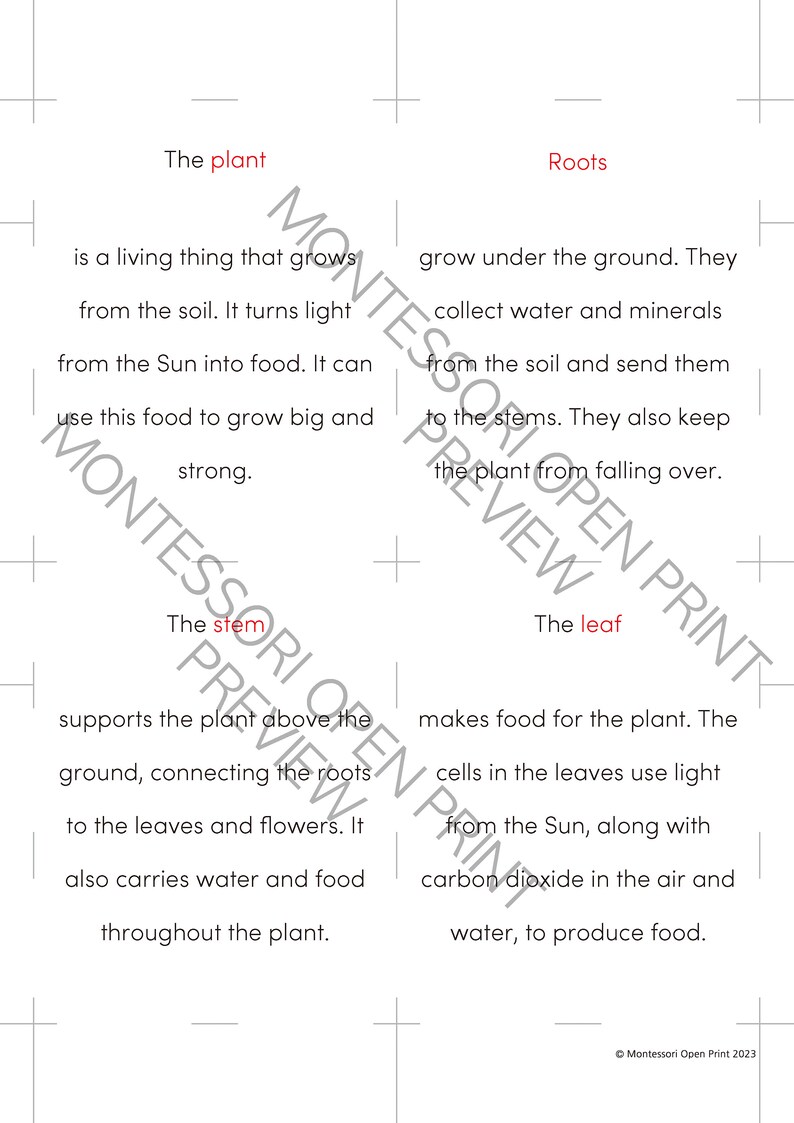 Montessori 3 Part Cards and Definitions Parts of a Plant - Etsy