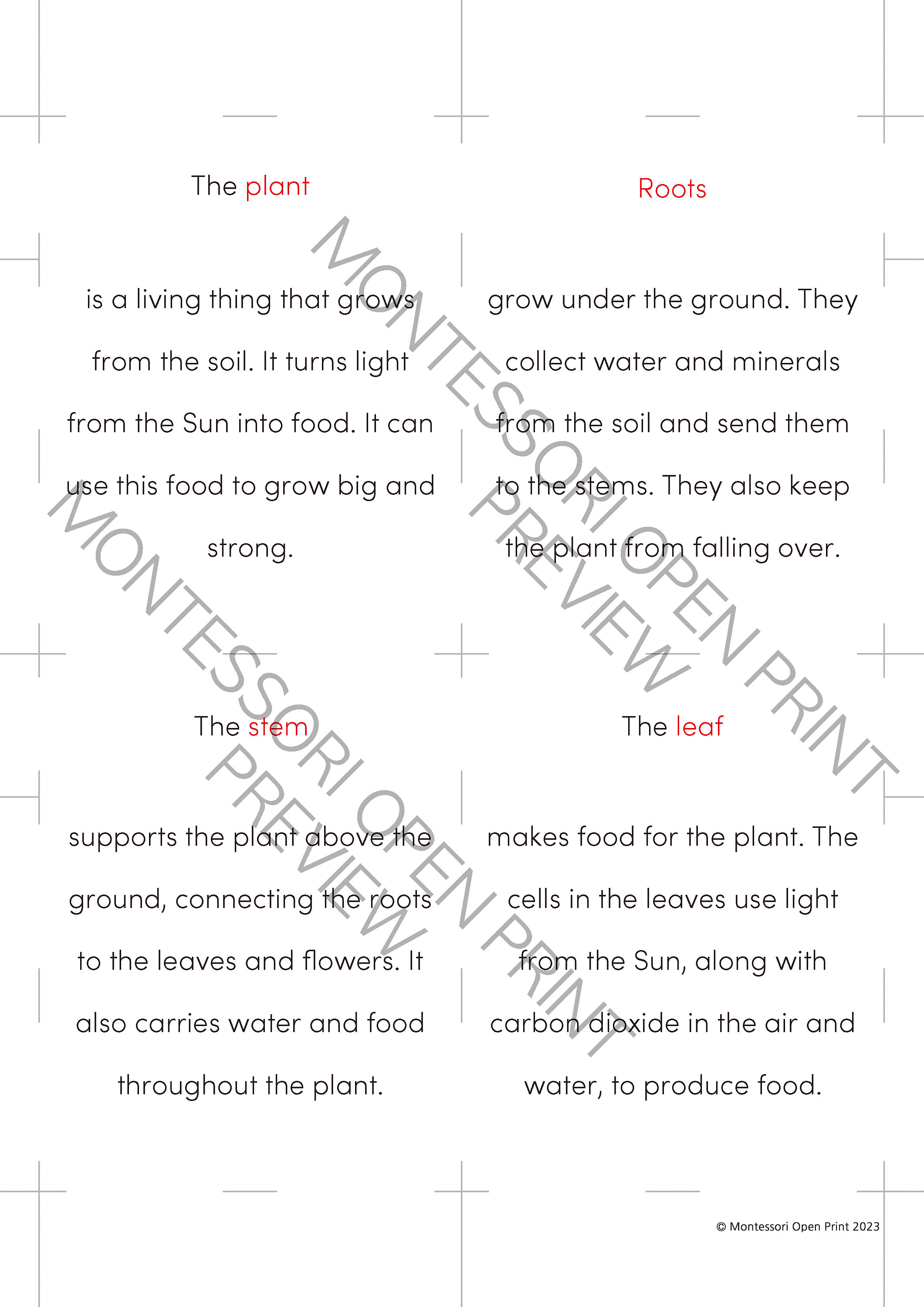 Montessori 3 Part Cards and Definitions Parts of a Plant - Etsy