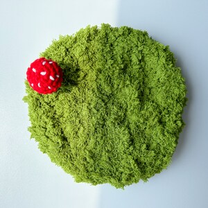 Cottagecore Coaster, Moss Mushroom Crochet Coaster, Hand Crocheted ...