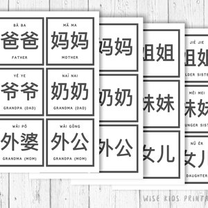 Family Members in Chinese Mandarin: Printable Flash Cards - Etsy