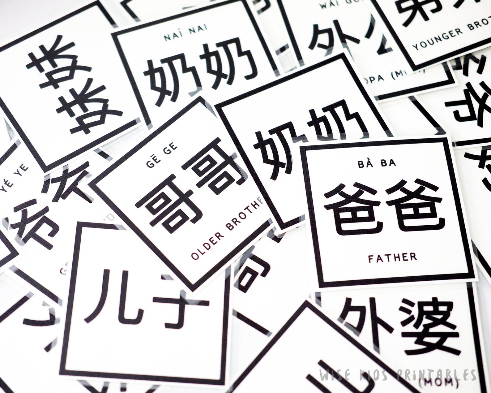Family Members in Chinese Mandarin: Printable Flash Cards - Etsy