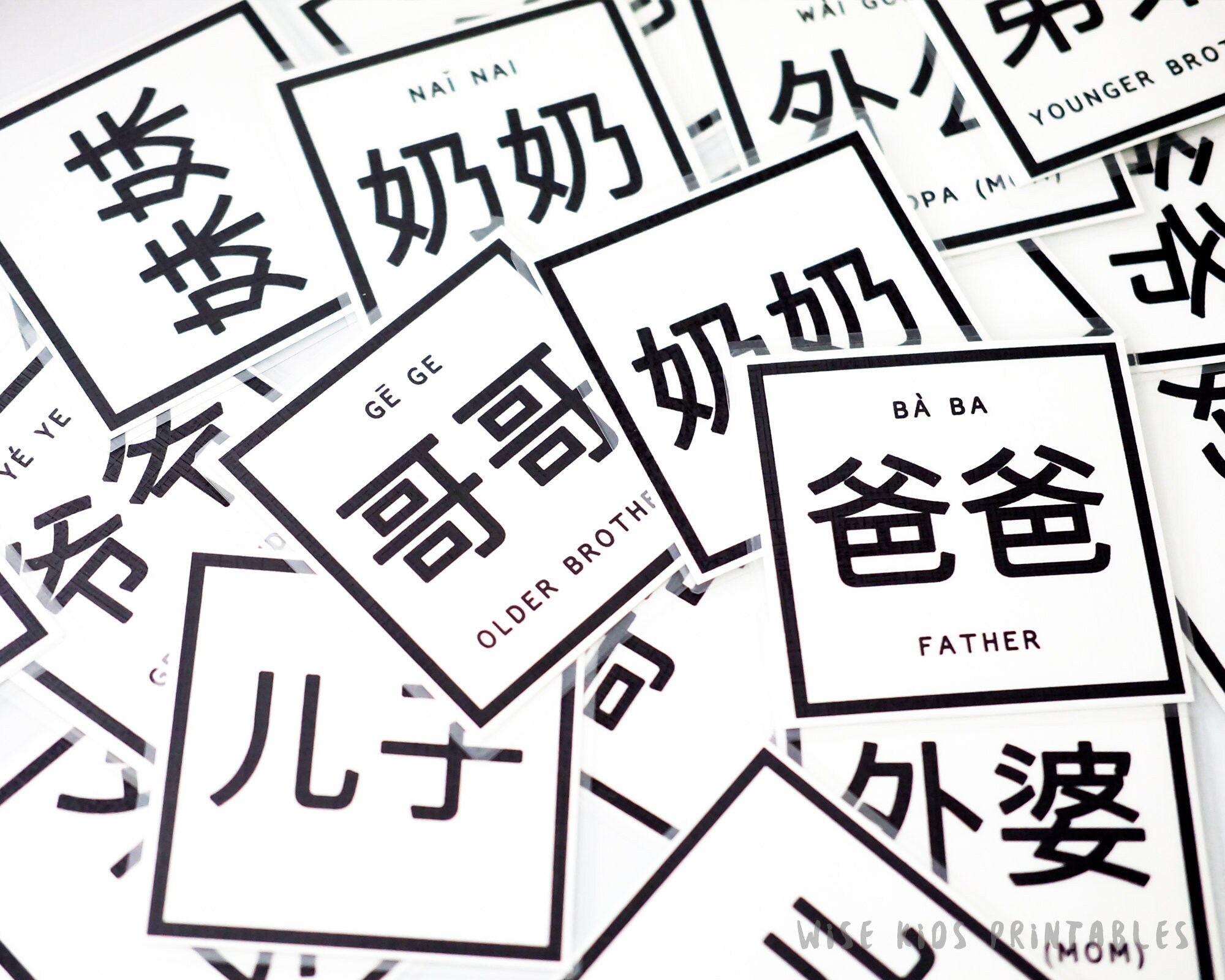 Family Members in Chinese Mandarin: Printable Flash Cards - Etsy