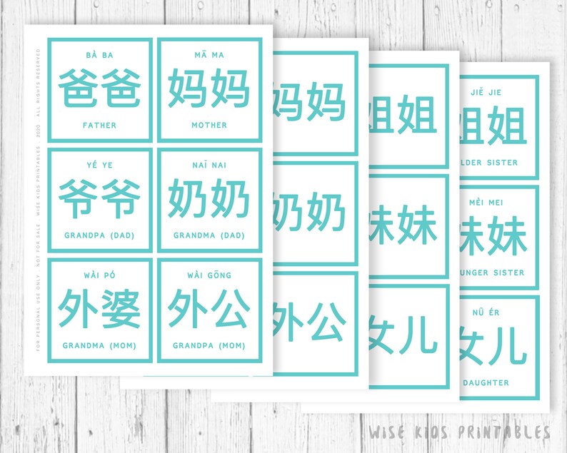 Family Members in Chinese Mandarin: Printable Flash Cards - Etsy