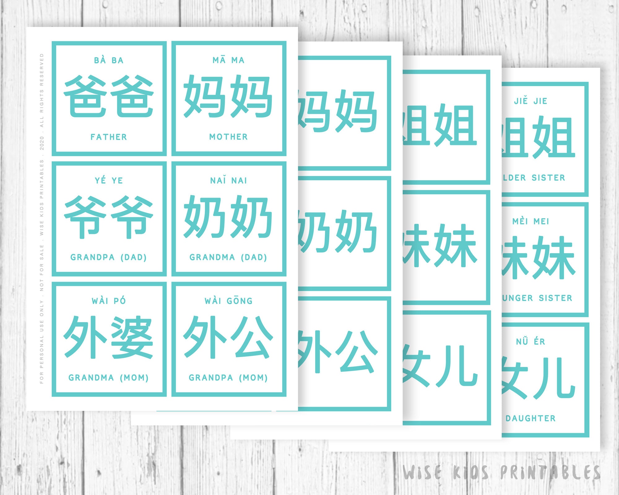 Family Members in Chinese Mandarin: Printable Flash Cards - Etsy