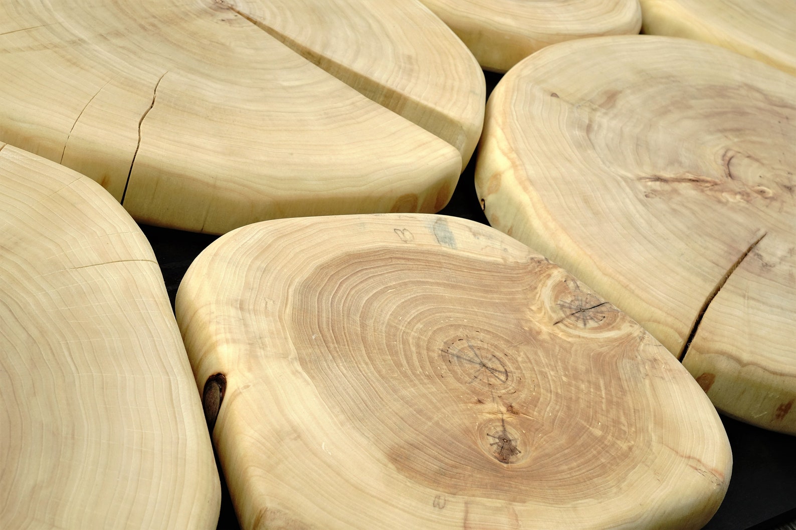 Wooden Slabs Wall Art Large Tree Trunk Wall Hanging Tree - Etsy Canada