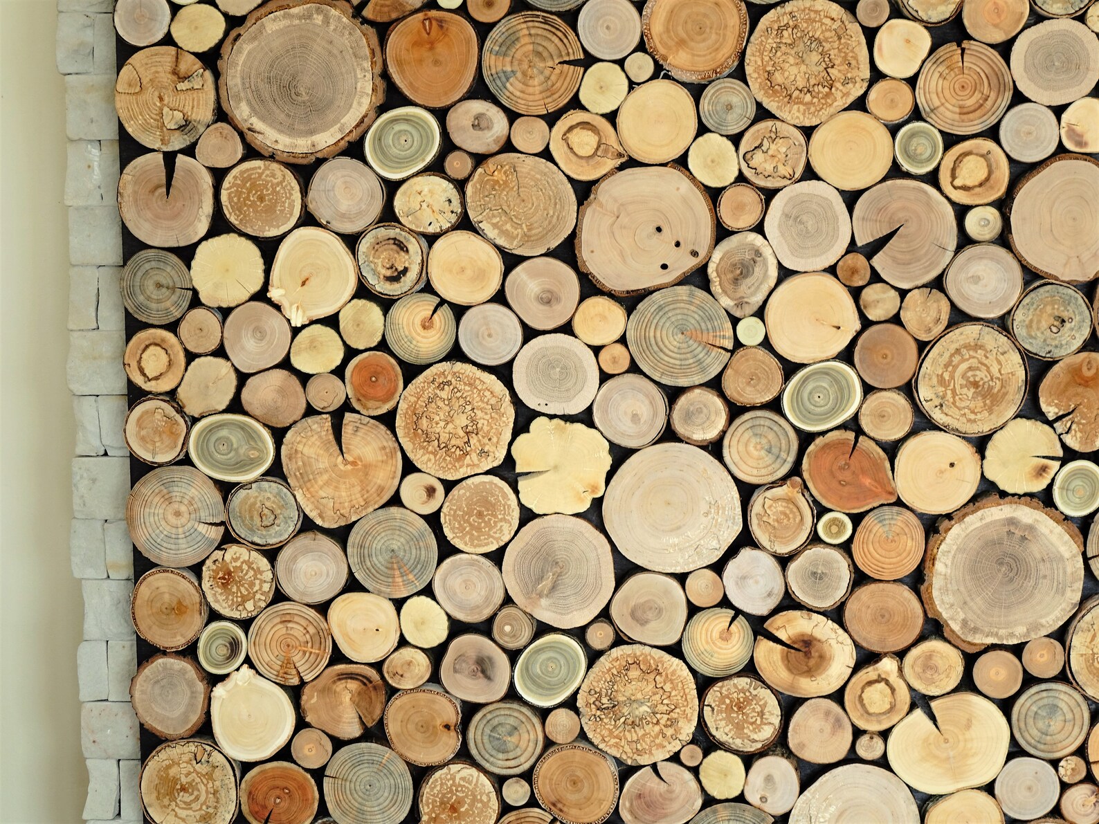 USA & CANADA ONLY Tree Rounds Wall Panel Reclaimed Wood Wall | Etsy