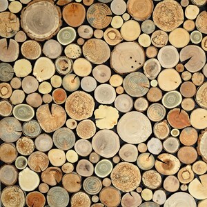 USA & CANADA ONLY, Tree Rounds Wall Panel, Reclaimed Wood Wall Art ...