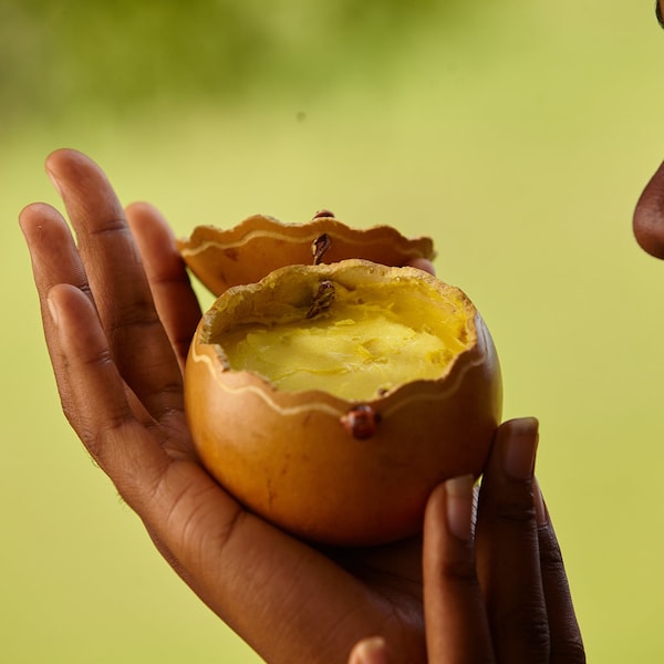 Shea Butter - Etsy