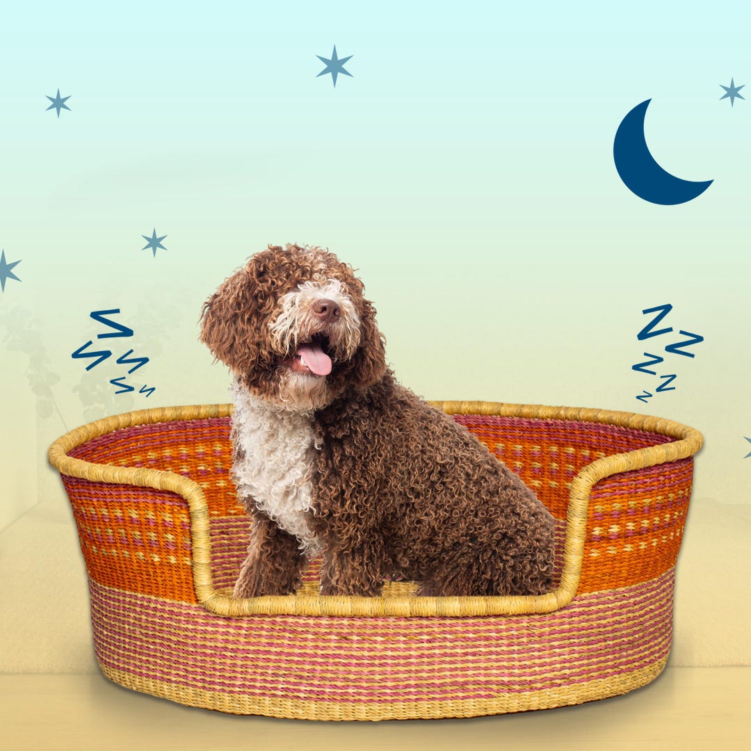 Cozy Dog Bed Basket Handwoven Natural Bolga Dog Bed for Small to X ...