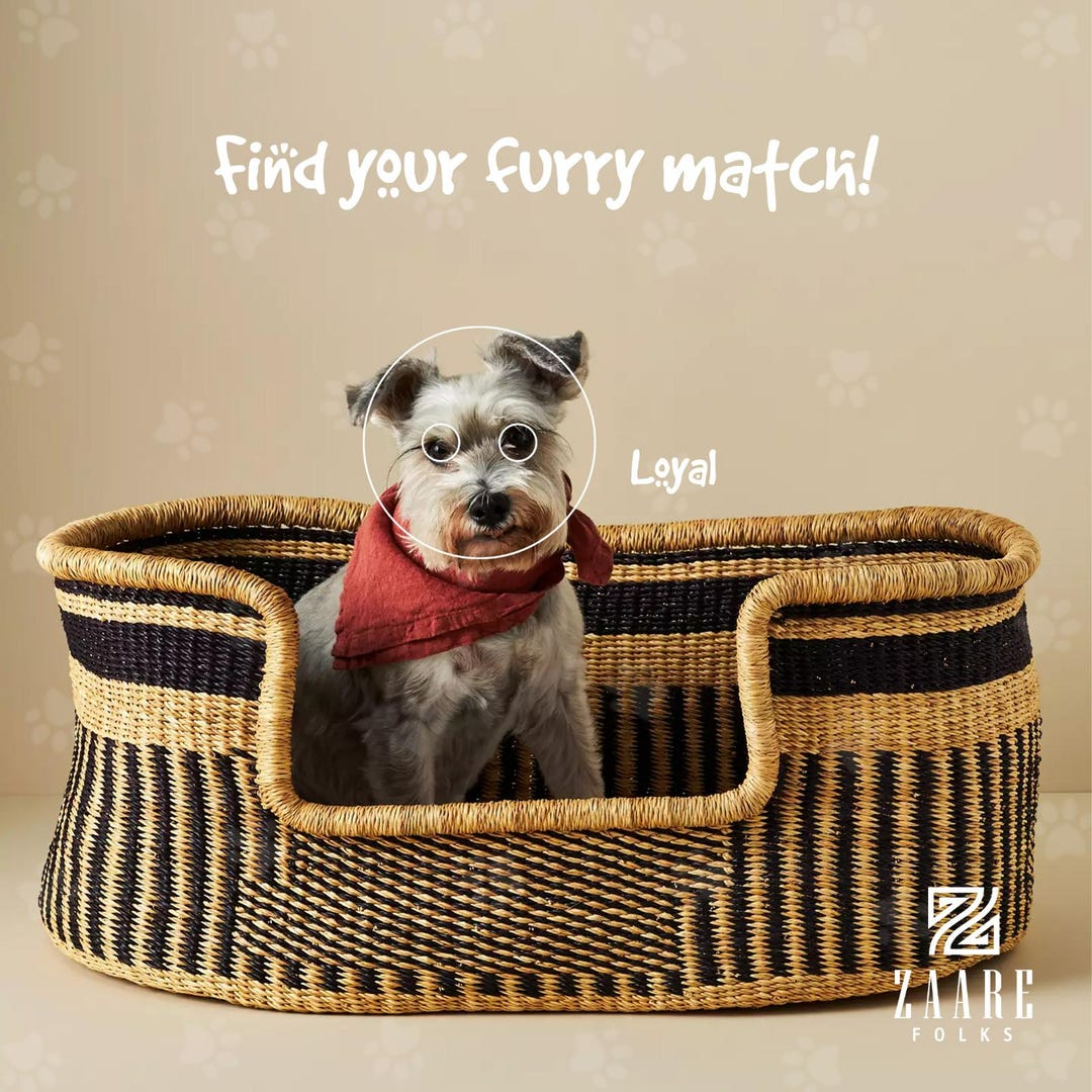 Cozy Dog Bed Basket Handwoven Natural Bolga Dog Bed for Small to X ...