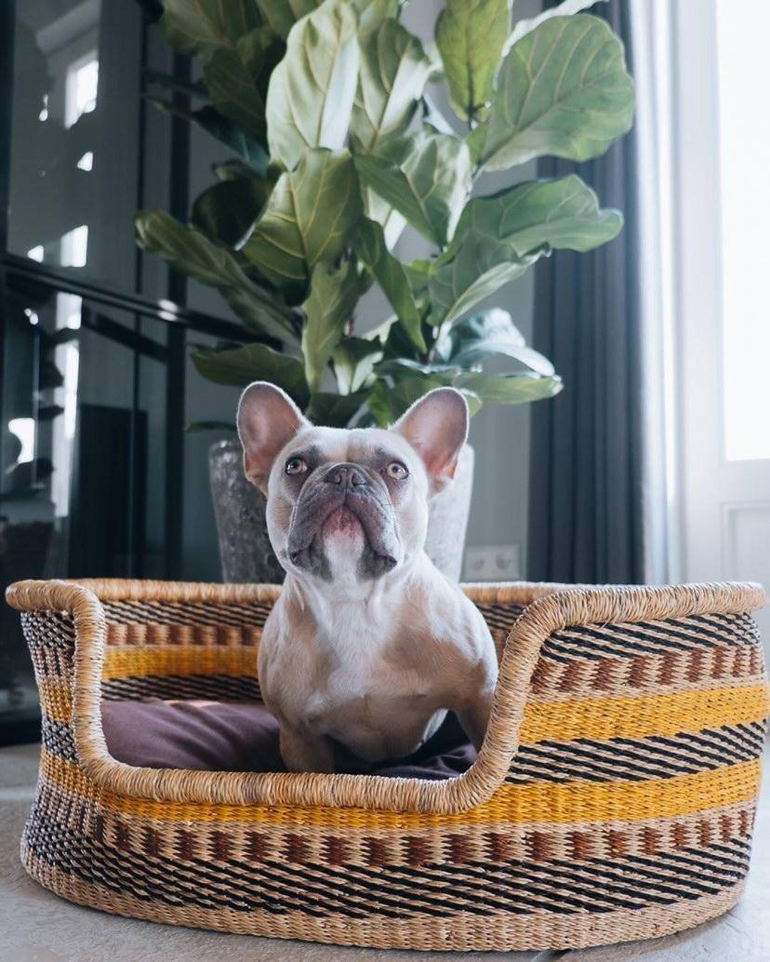 Woven Dog Bed Basket Small to XXL Dog Bed Large Bed for Large Dogs ...