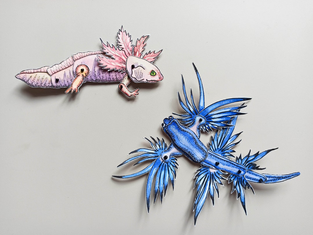 Articulated Animals Axolotl and Blue Dragon Sea Slug, SET of 2 Paper ...