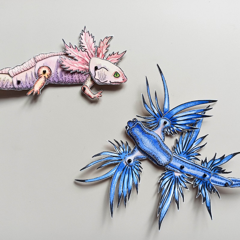 Axolotl Puppet - Etsy