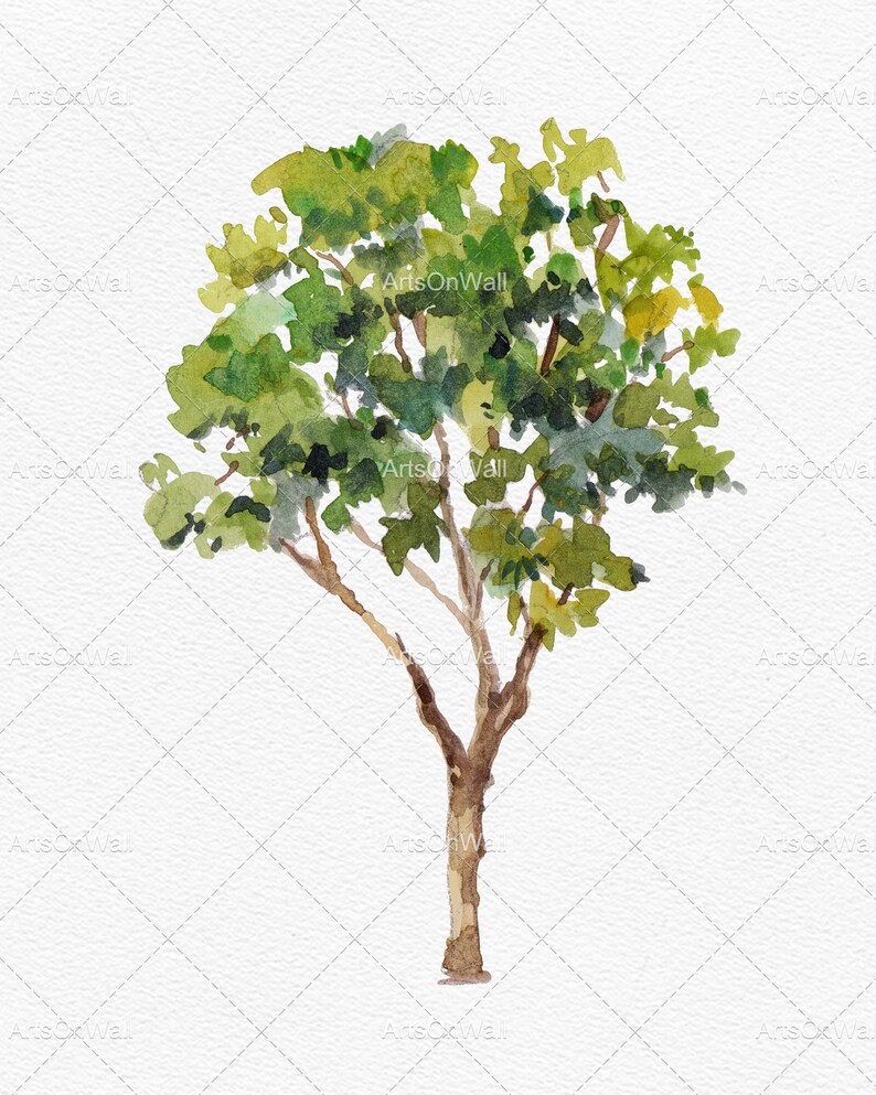 Tree Clipart Hand Painted Watercolor Transparent Background - Etsy
