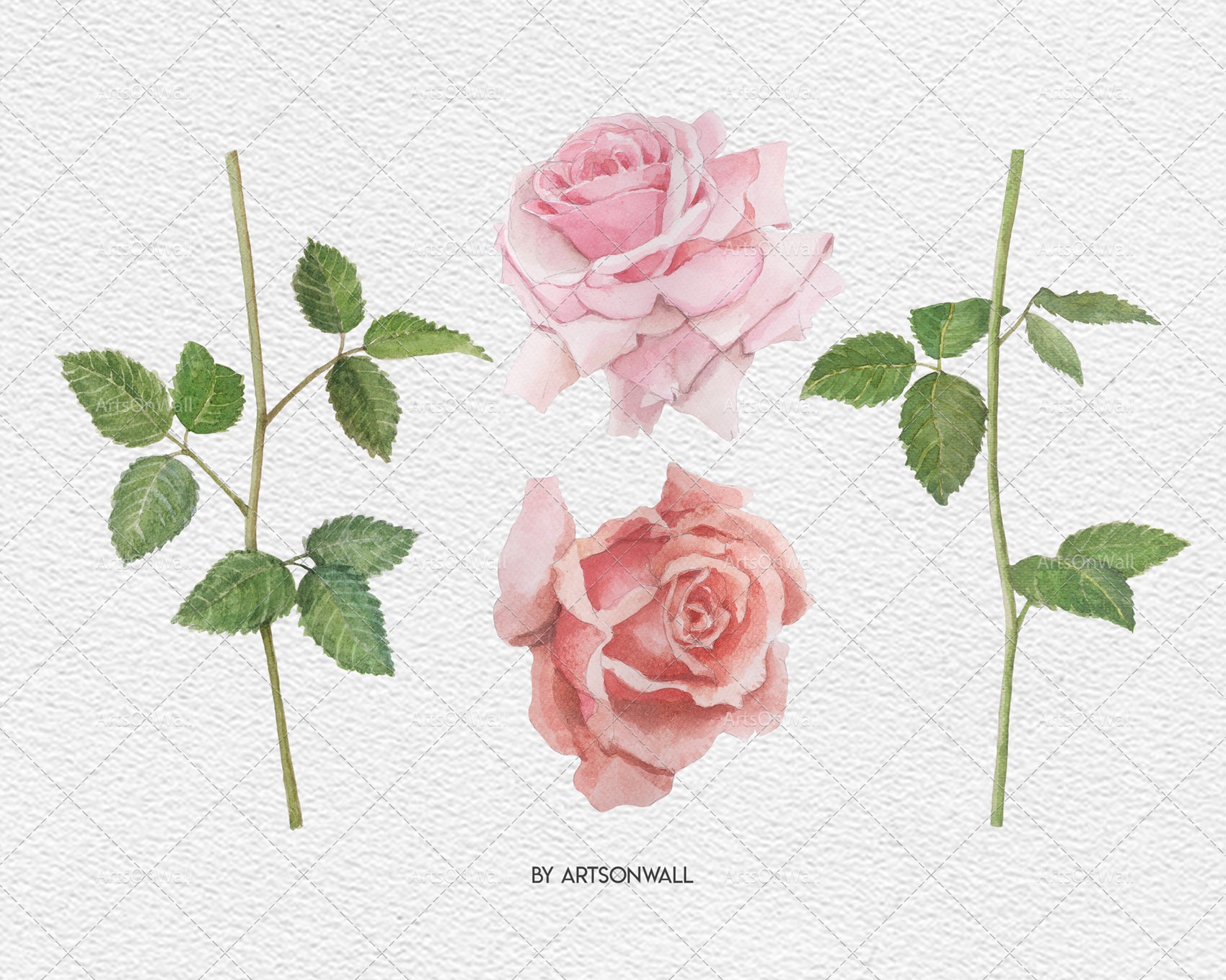 Watercolor Roses Clipart Hand-painted Floral Illustration | Etsy