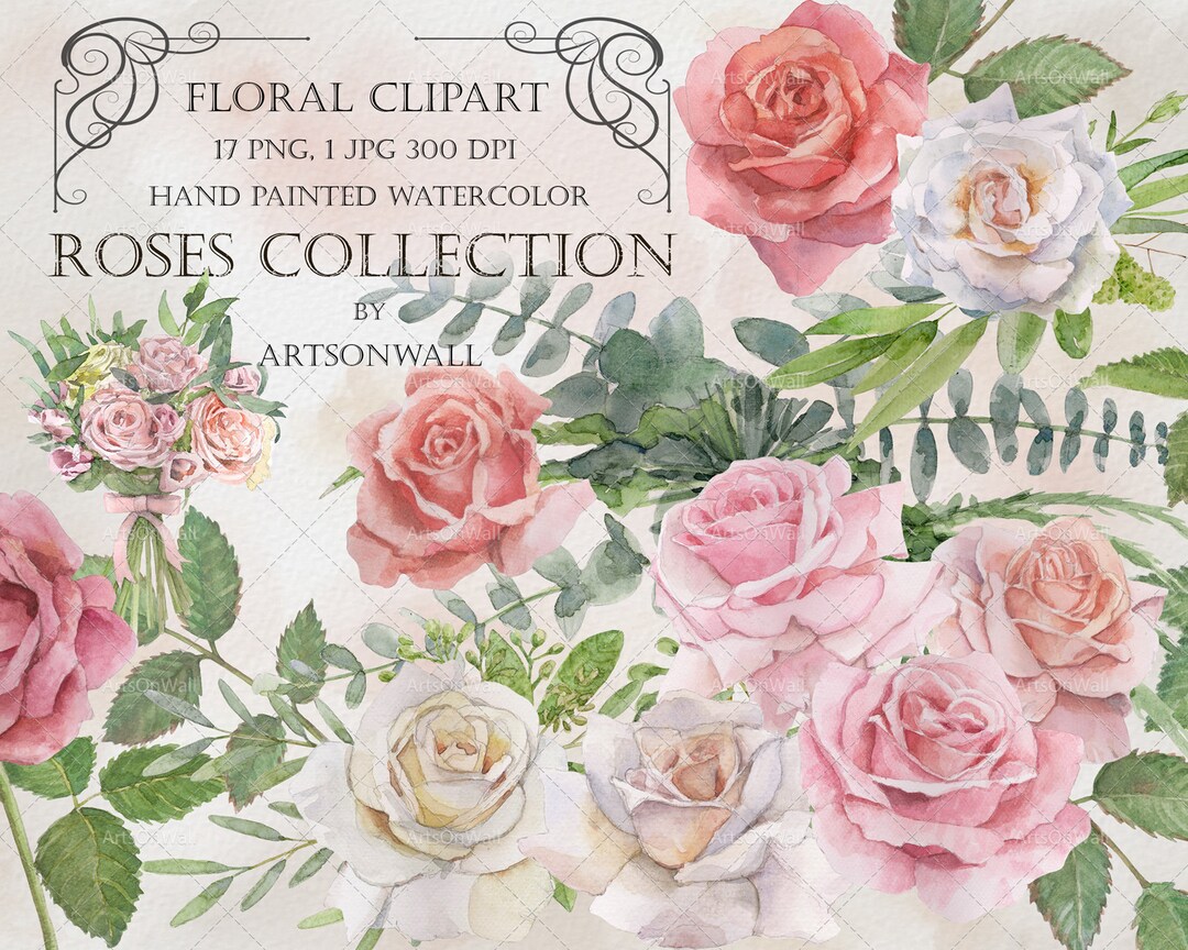 Watercolor Roses Clipart Hand-painted Floral Illustration - Etsy