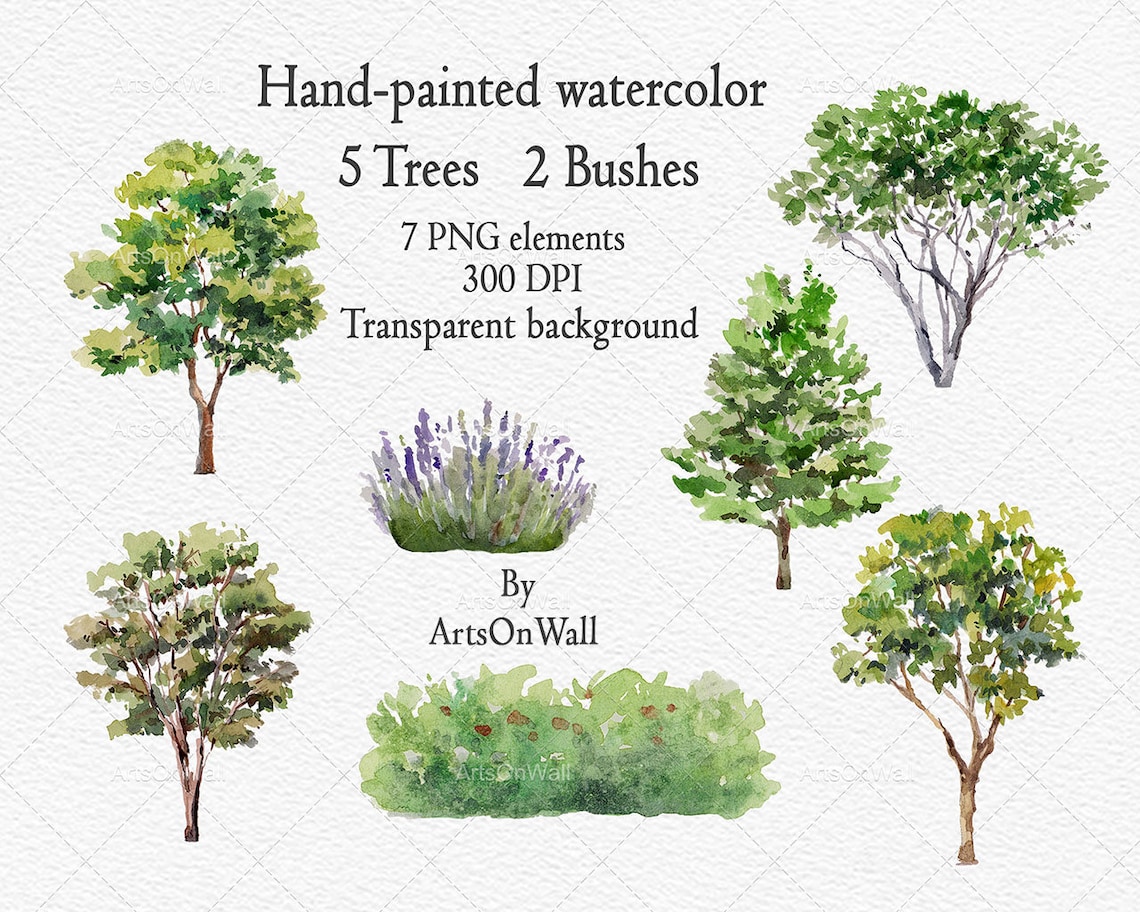 Tree Clipart Hand Painted Watercolor Transparent Background - Etsy