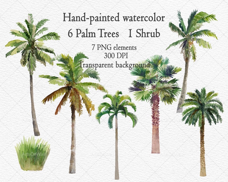 Palm Trees Clipart Hand Painted Watercolor Transparent - Etsy