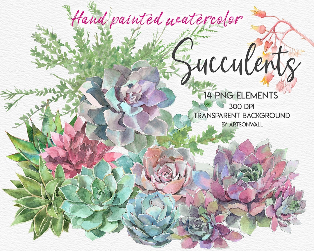 Watercolor Succulents Clipart, Hand-painted, Floral Illustration ...