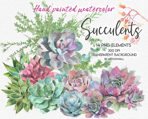 Watercolor Succulents Clipart Hand-painted Floral - Etsy