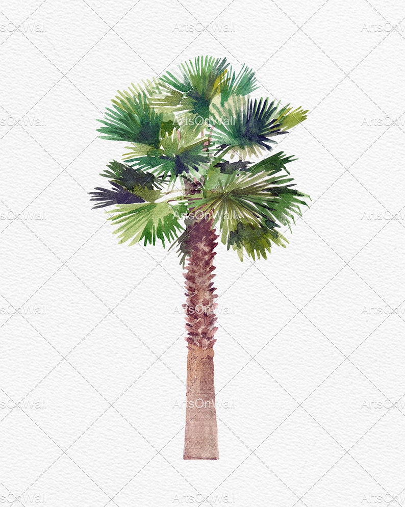Palm Trees Clipart Hand Painted Watercolor Transparent - Etsy