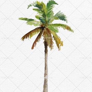 Palm Trees Clipart, Hand Painted Watercolor, Transparent Background ...