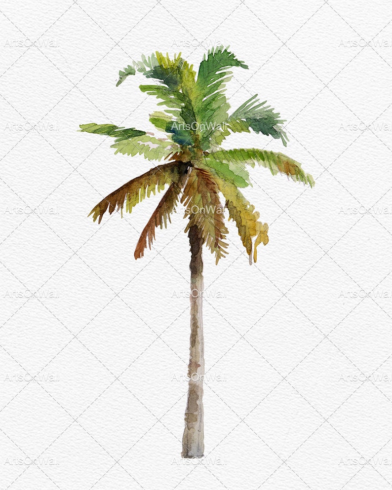 Palm Trees Clipart Hand Painted Watercolor Transparent - Etsy