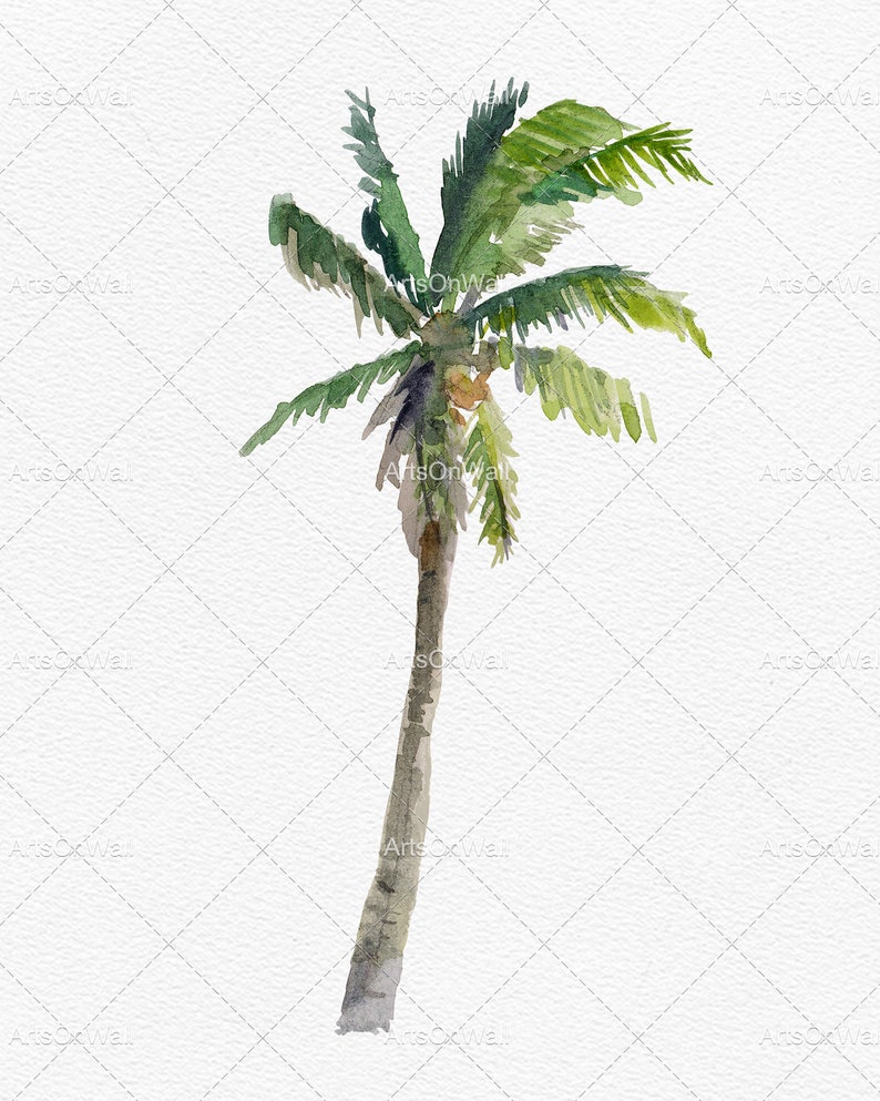 Palm Trees Clipart Hand Painted Watercolor Transparent - Etsy