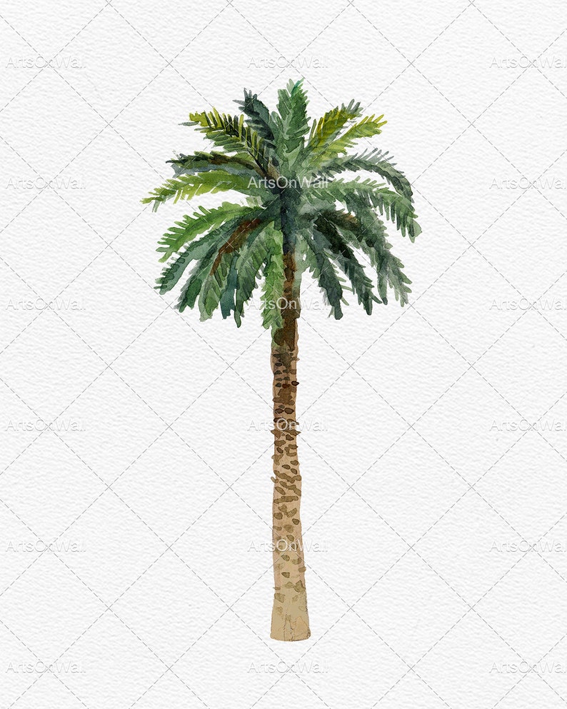 Palm Trees Clipart Hand Painted Watercolor Transparent - Etsy
