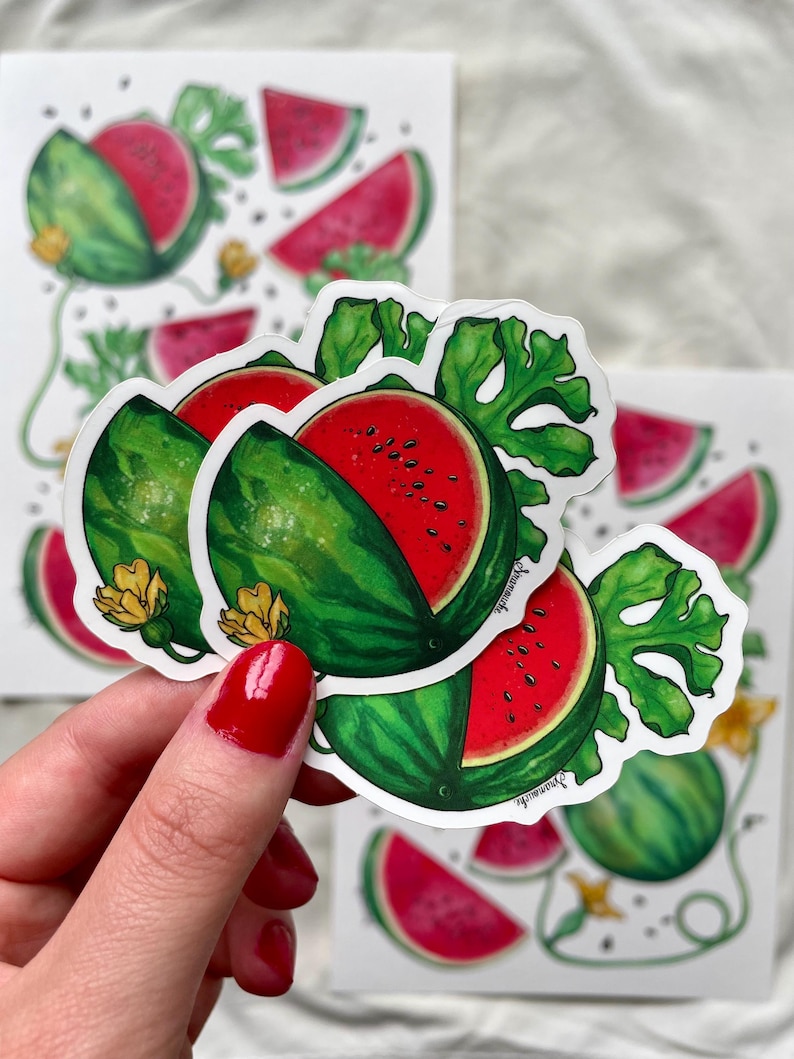 Watermelon Sticker – Premium Vinyl - Etsy