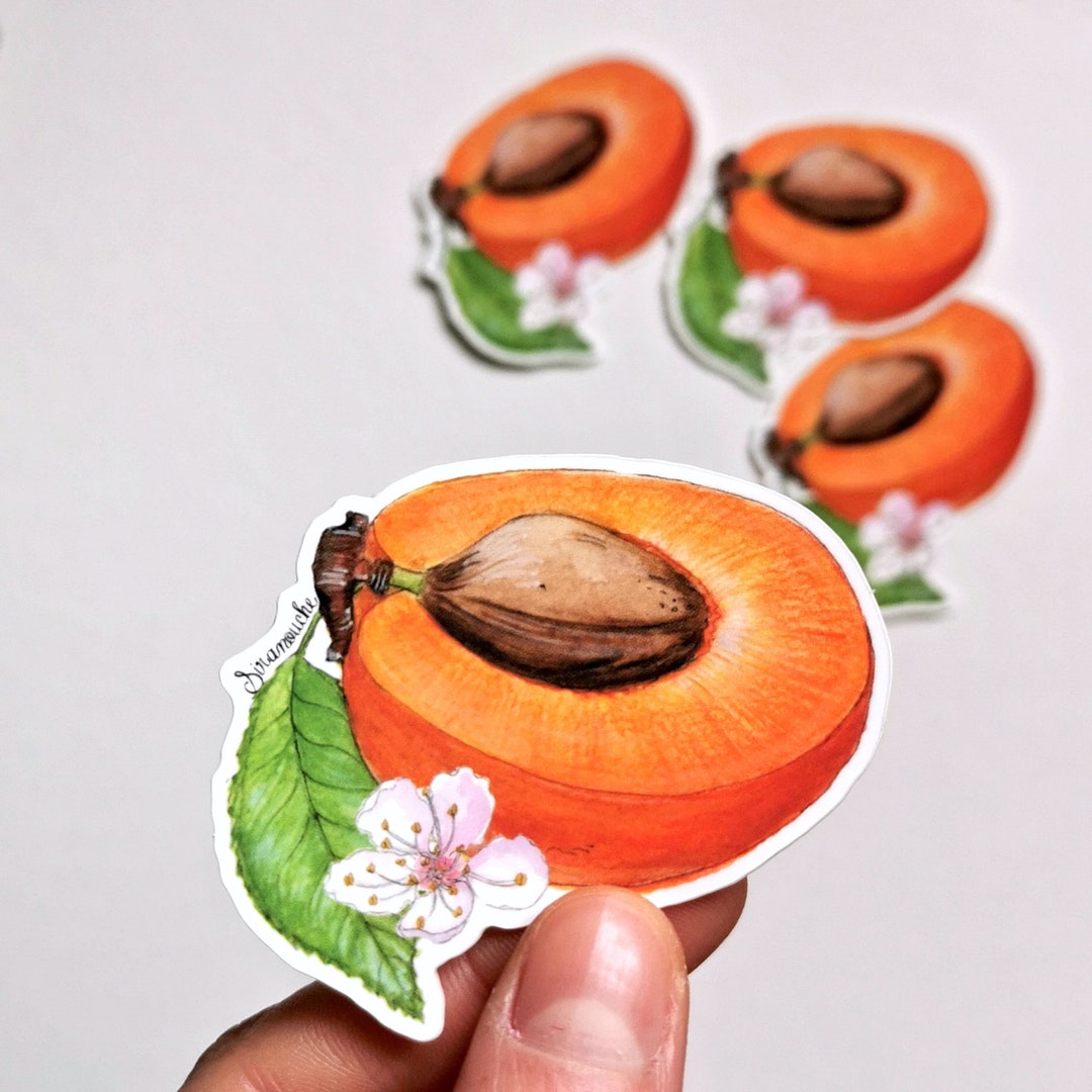 Apricot Sticker Premium Vinyl - Etsy