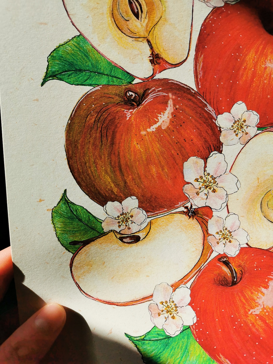 Print A4 Apples Aesthetic Print Illustration Apple Apple | Etsy