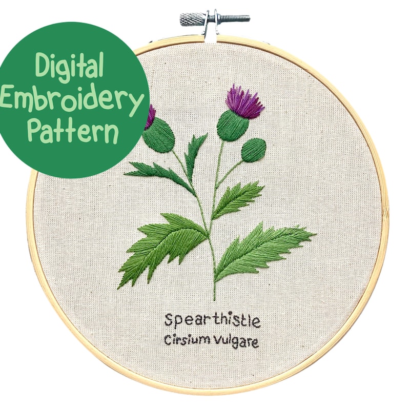 Thistle Embroidery Pattern - Etsy