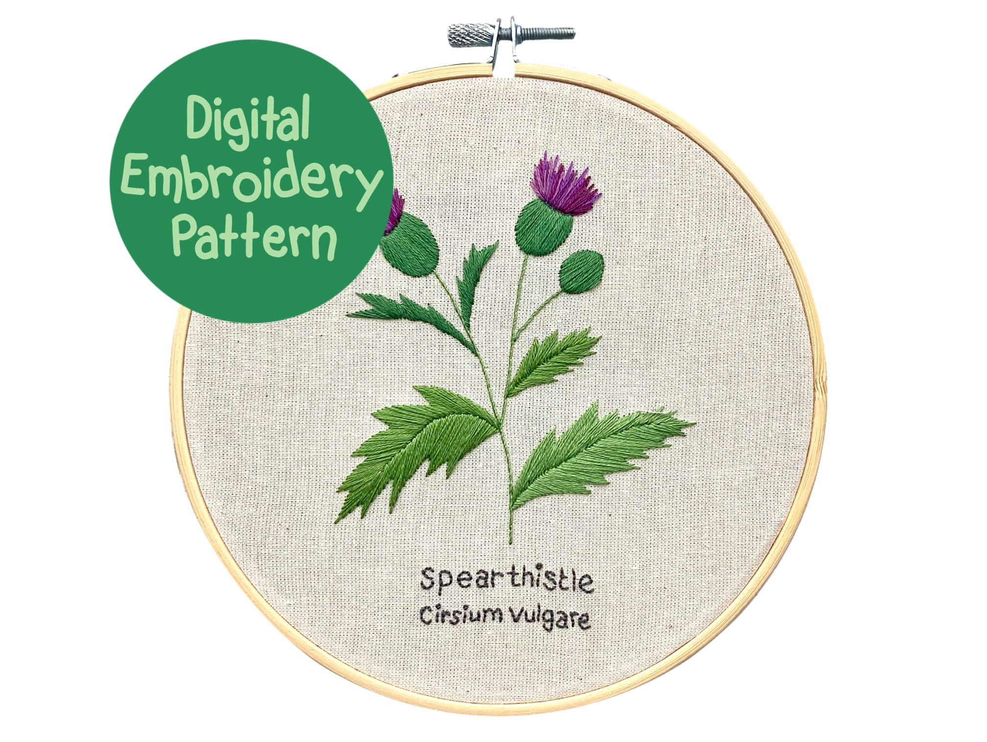 Thistle Hand Embroidery Pattern - Etsy
