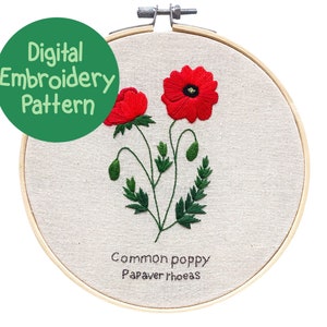 Poppy Hand Embroidery Pattern, Wildflower Embroidery Pattern PDF ...