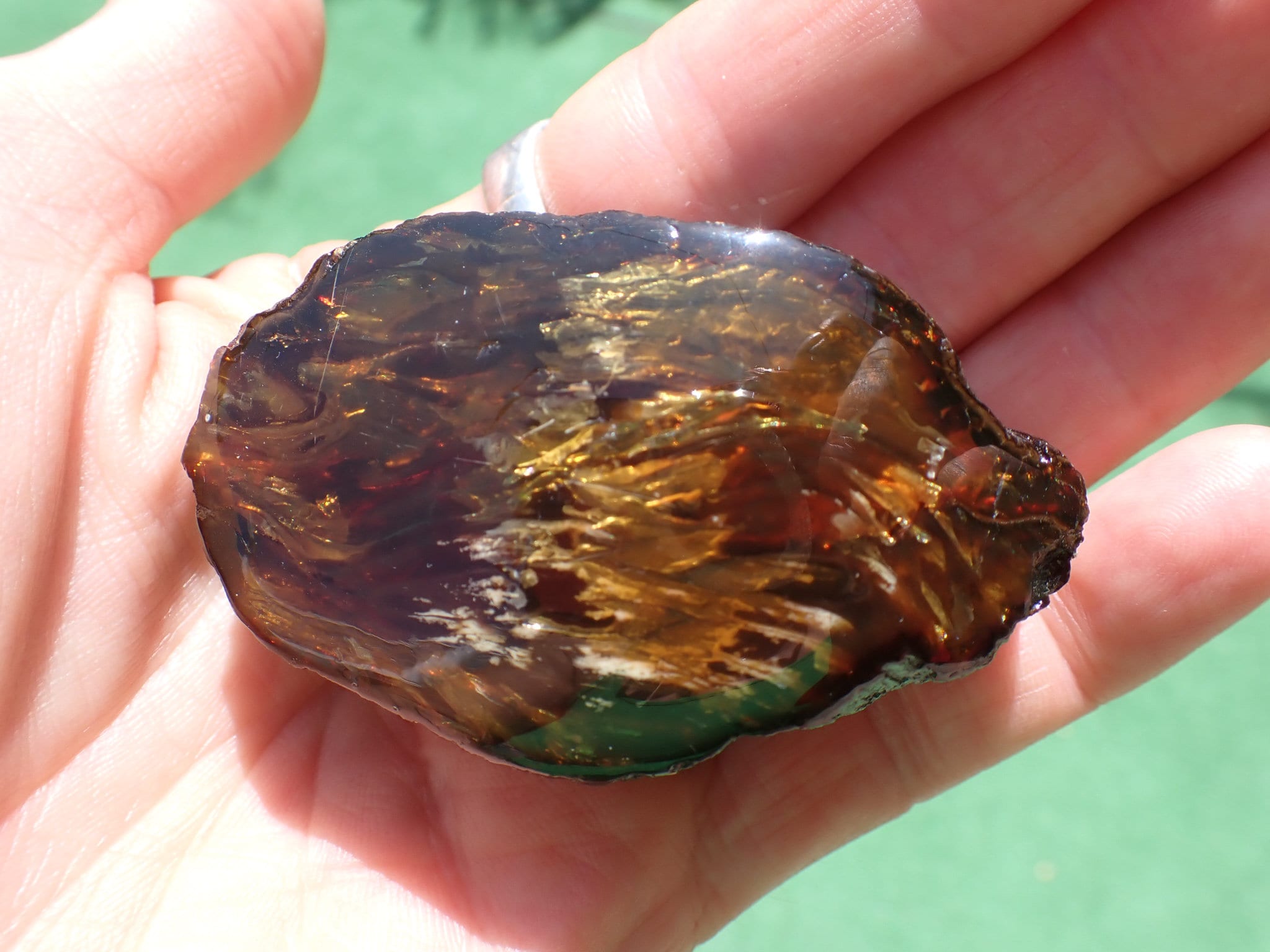 Lion's Mane Amber, Large Amber Stone, Natural Dark Amber Gemstone for ...