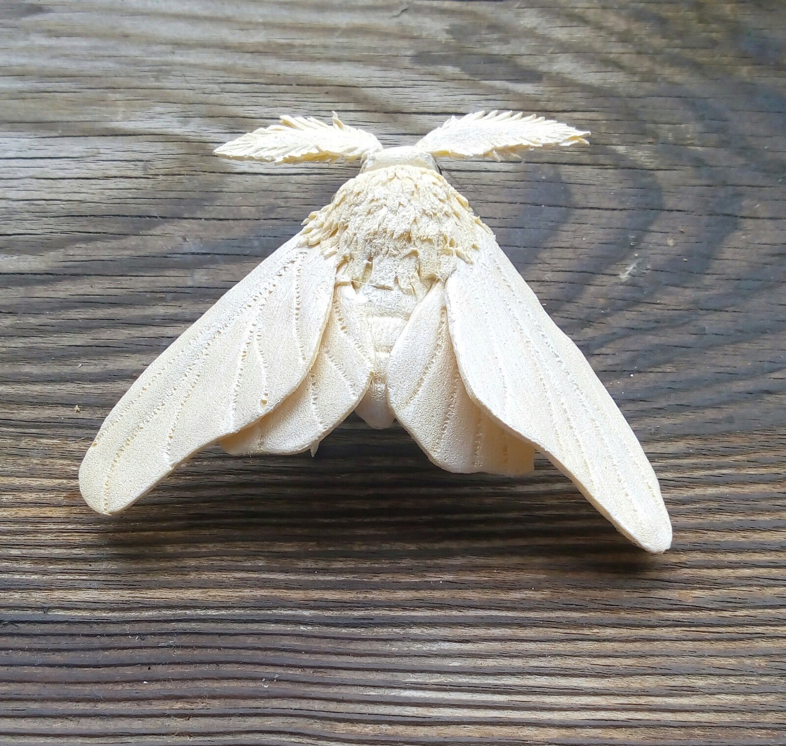 Fake realistic white moth sculpture/Moth decor/Moth lover | Etsy